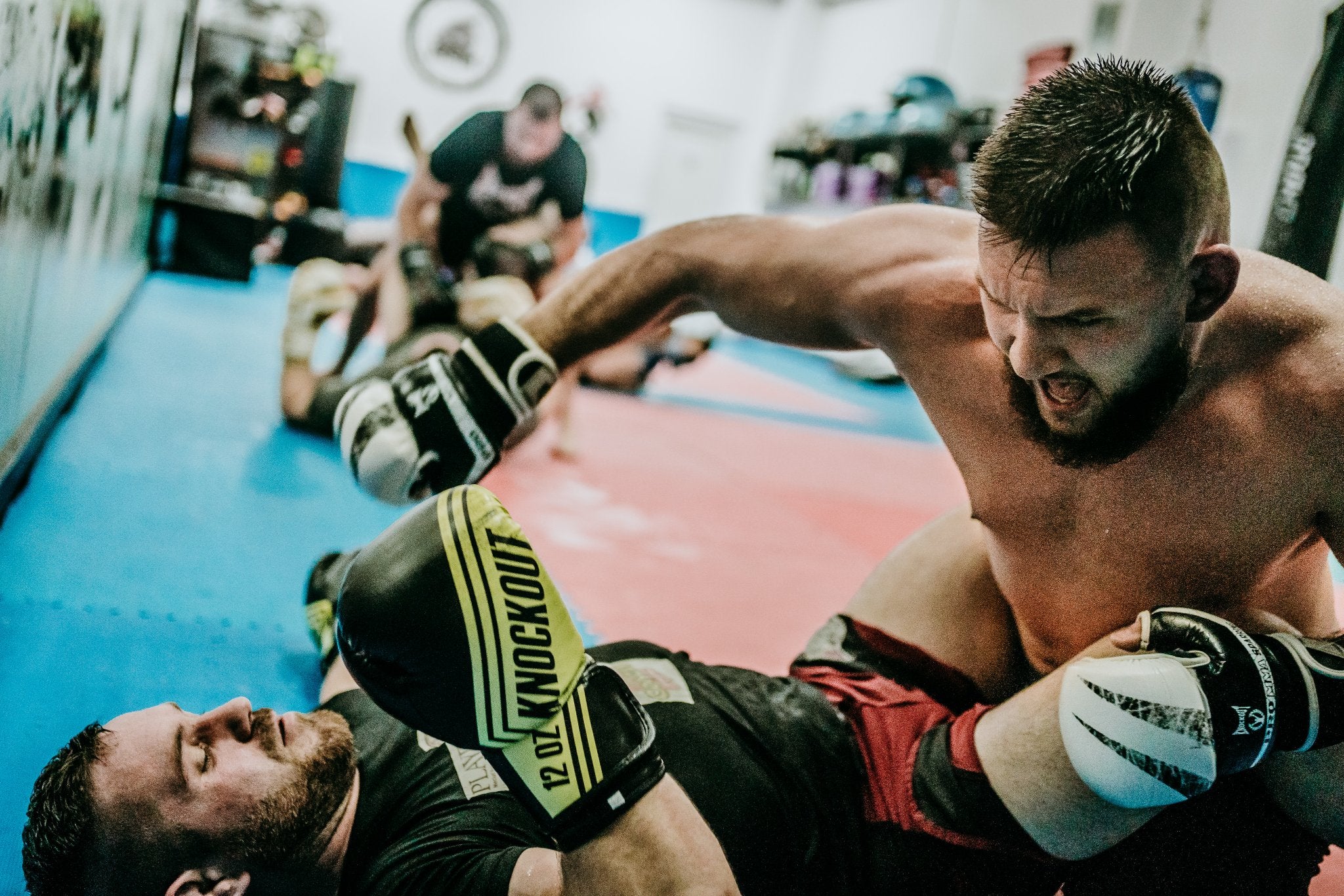 Alimentatie pentru masca musculara. Top alimente recomandate – Knockout