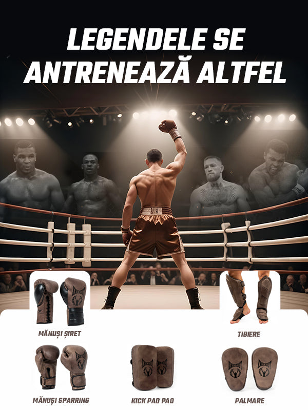 Knockout Store: Echipamente Profesionale Box si Arte Martiale